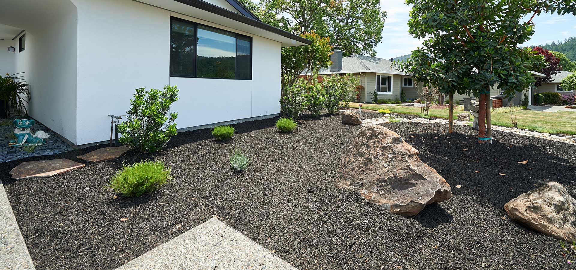 Plant Installation for your Premier Landscaping | Northview Landscaping