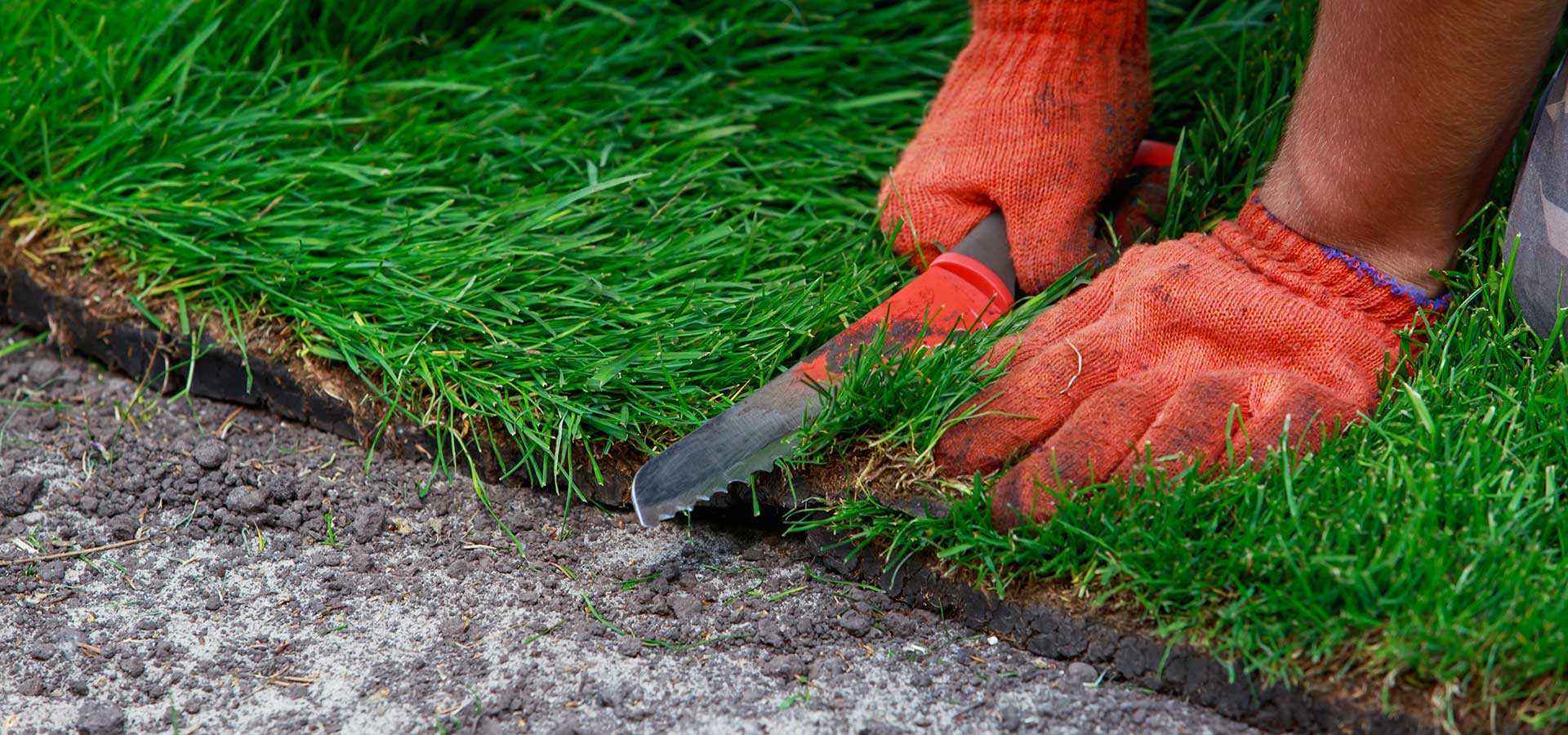 Sod Installation Services | Northview Landscaping in Sonoma County